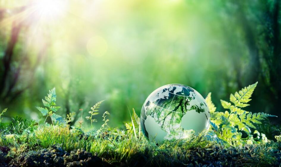 Program zelenega prehoda Slovenije do leta 2030 (1) - Zelena Slovenija